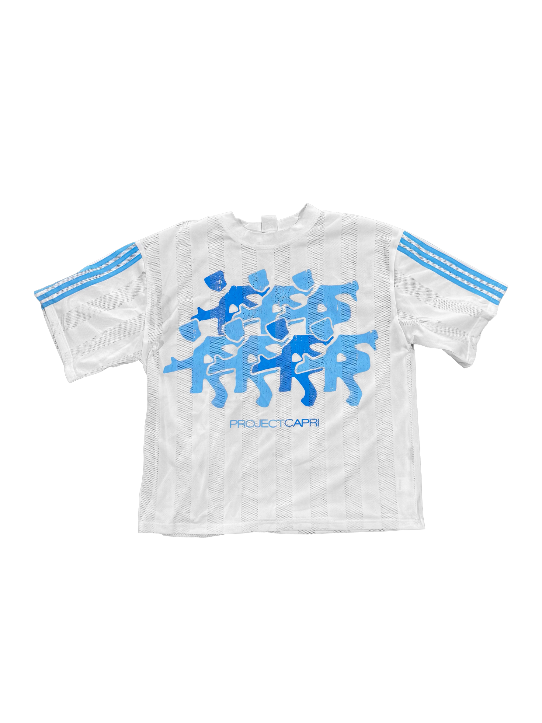 Products – ProjectCapri